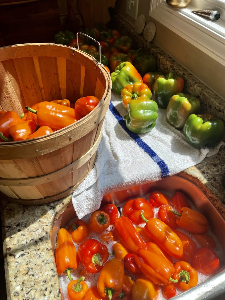 How to freeze Peppers like a Pro - From Poland to Plate
